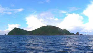 Triangle Island – westernmost of the Scott Island Group In June, 2010 I ...