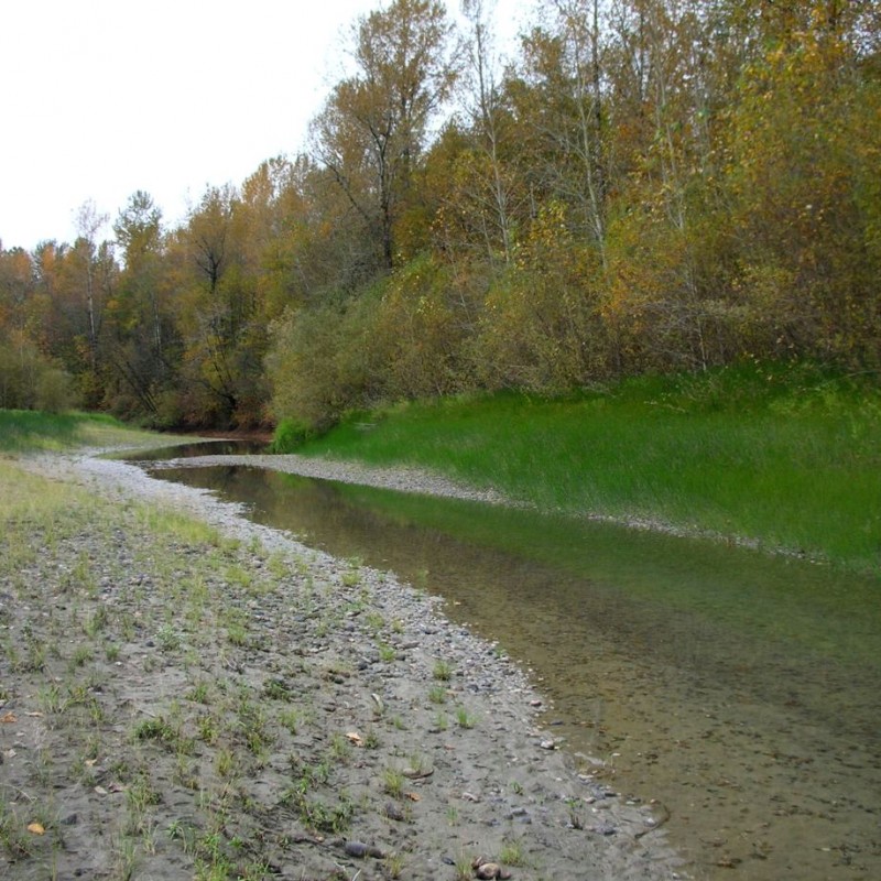 Fraser River Islands Photos : 2008 – Friends of Ecological Reserves