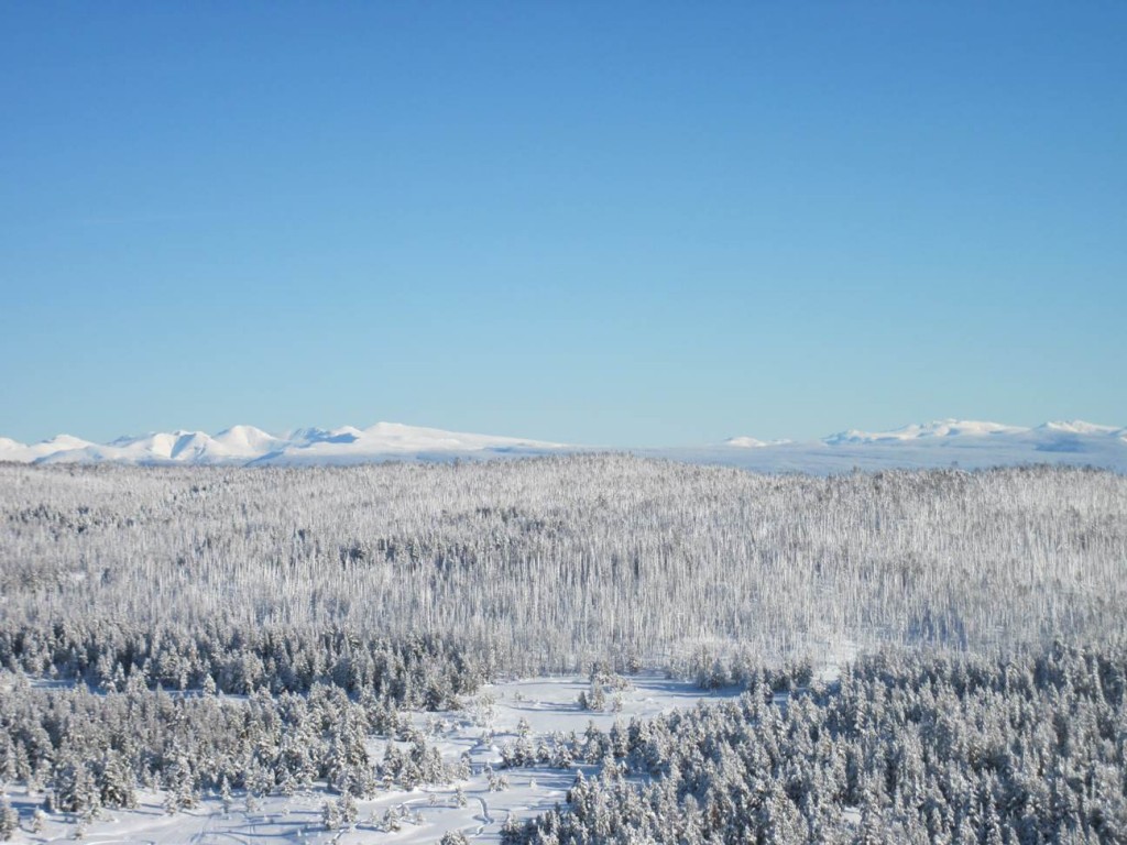 Ilgachuz Range in winter – Friends of Ecological Reserves