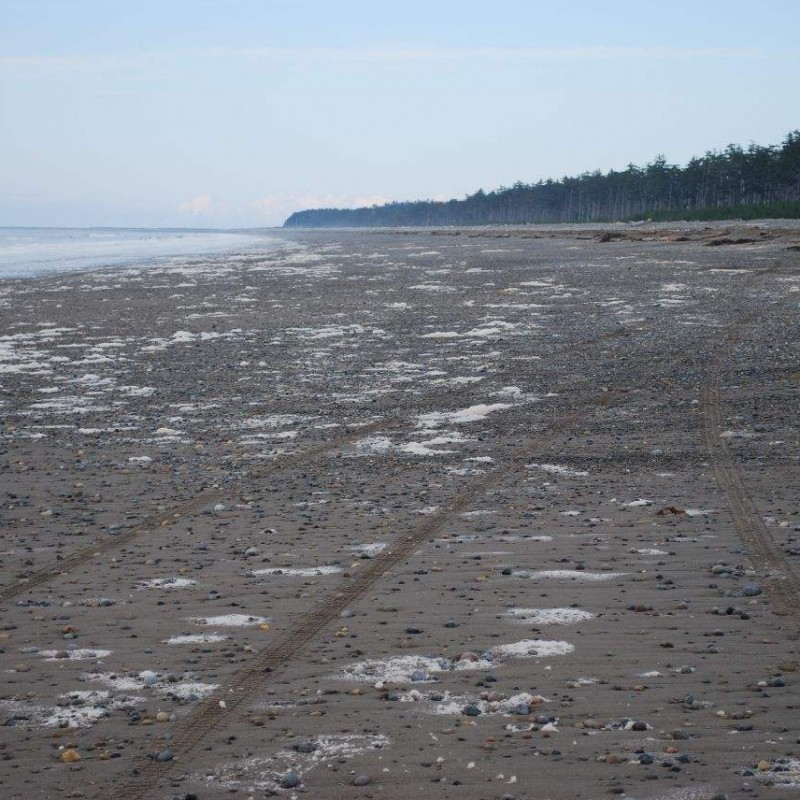 Images of Rose Spit ER by Ron Caves – Friends of Ecological Reserves