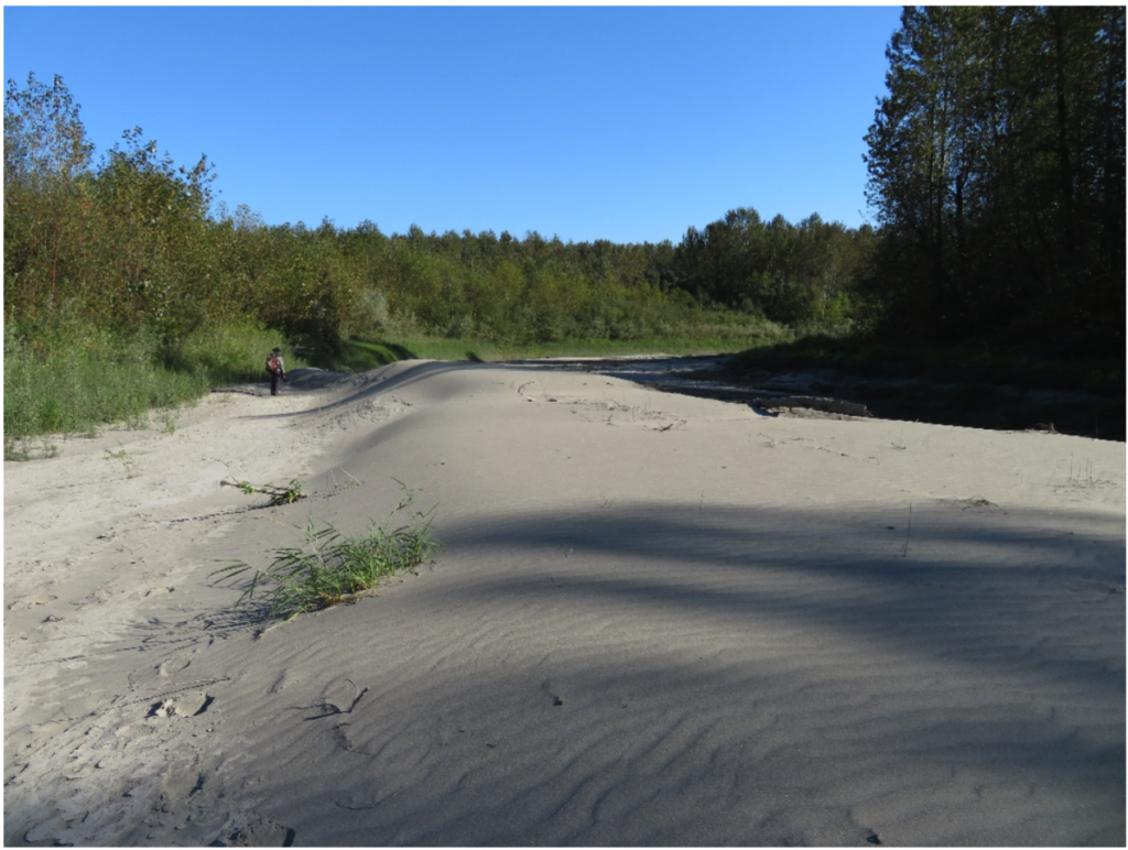 Warden’s Report for Fraser River Ecological Reserve #76 , Sept 2022 ...